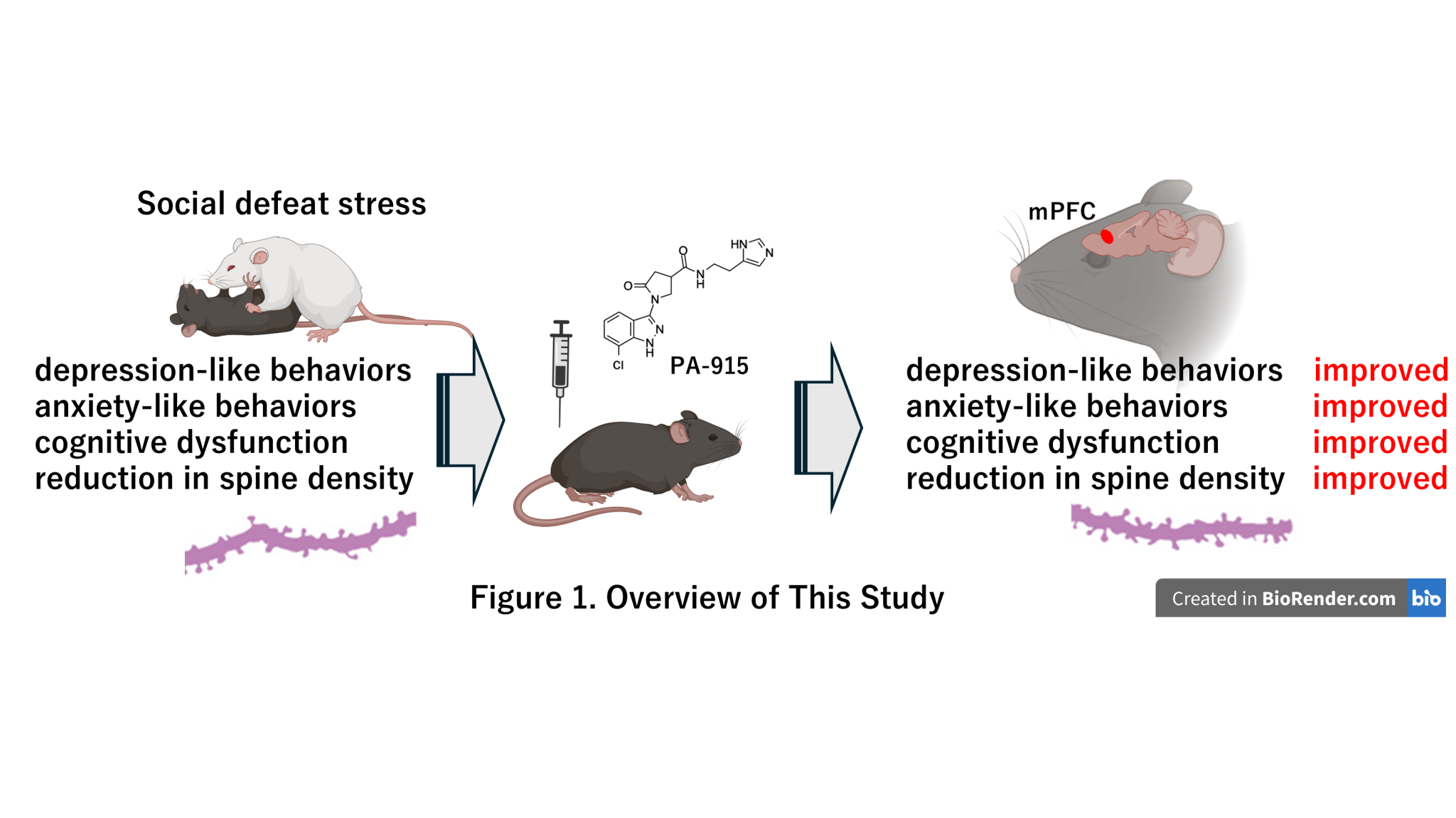 oudent-english | Targeting PACAP Receptors: A Potential New Treatment ...